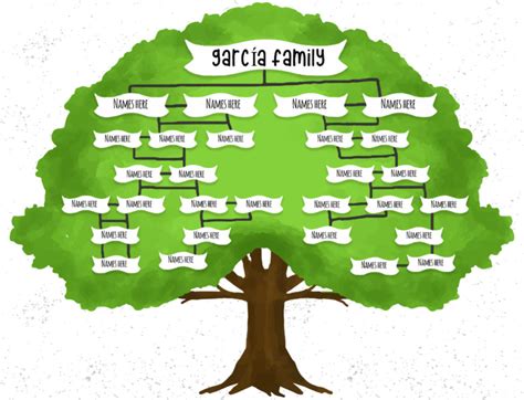 Cómo hacer el árbol genealógico de la familia PlanesConHijos