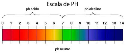 pH de la piel Qué es y por qué es tan importante Barbara Gees