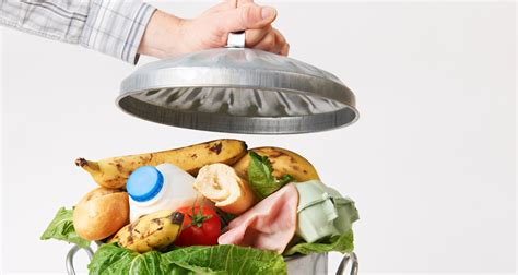 Sabes cuánta comida se desperdicia en el mundo Energía Hoy