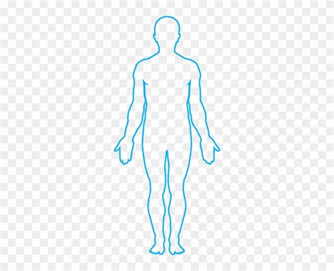 Body Outline Png