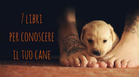 Migliori Libri Sui Cani 7 Titoli Consigliati Da Leggere