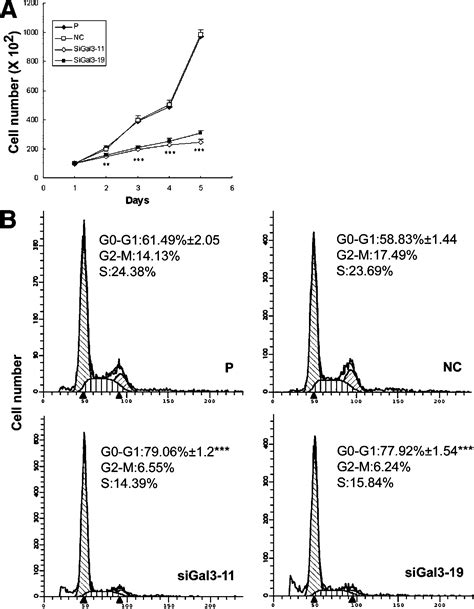 Regulation Of Prostate Cancer Progression By Galectin 3 The American