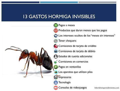 13 Gastos hormiga invisibles que puedes eliminar Líder del Emprendimiento