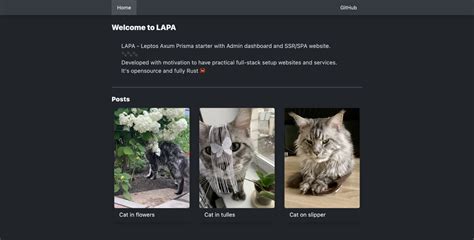 GitHub Alexichepura Lapa Leptos Axum Prisma Starter With Admin