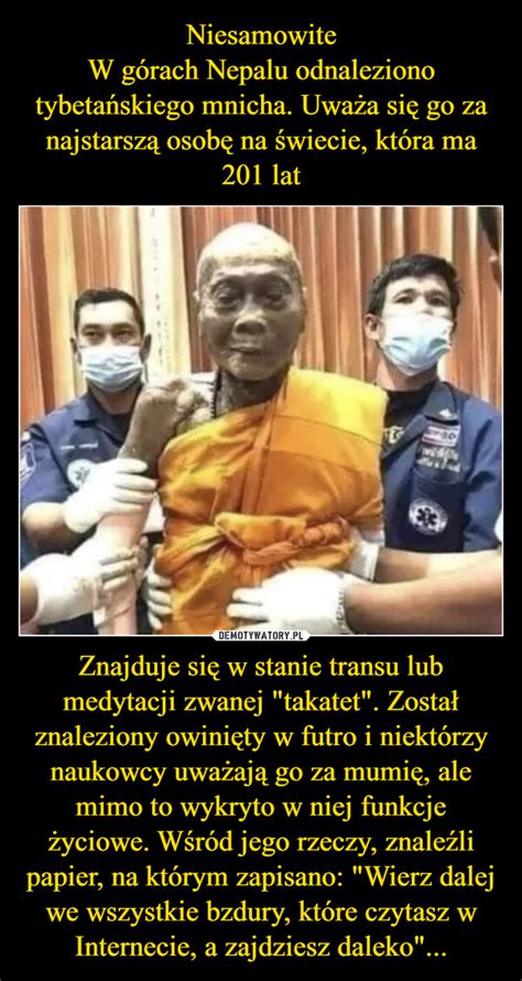 Powalone Zdjecia Teksty I Dowcipy Z Neta Strona
