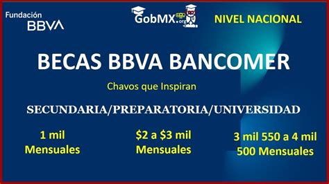 Cómo puedo registrar mi solicitud para las becas BBVA en la universidad