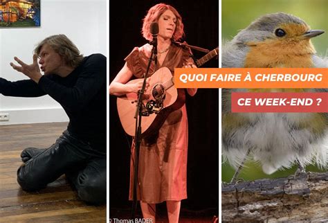 Lecture concerts oiseaux On fait quoi ce week end à Cherbourg