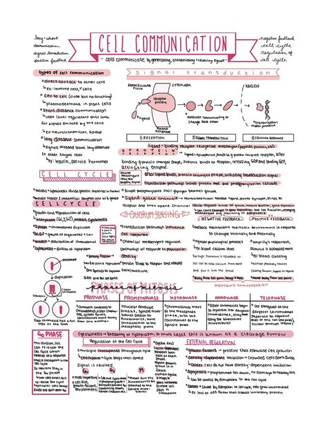AP Biology Unit 4 Review Notes Etsy