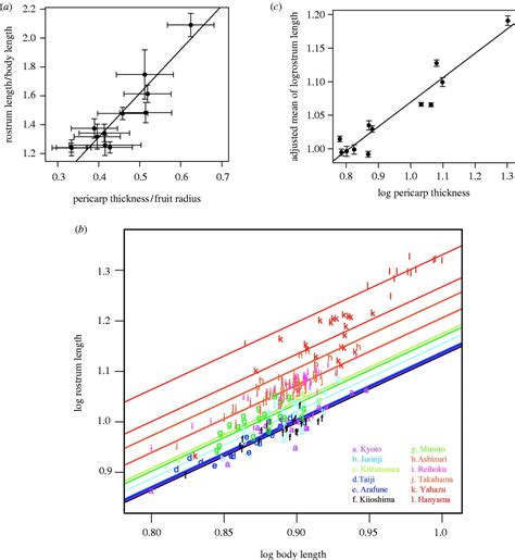 adaptive divergence of scaling relationships mediates the arms race between a weevil and its