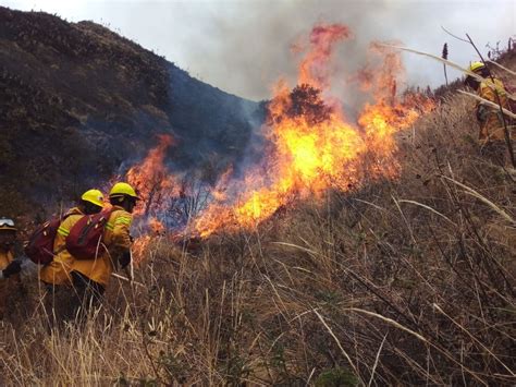 Cusco incendio forestal cerca de la Ciudad Imperial devastó más de 850