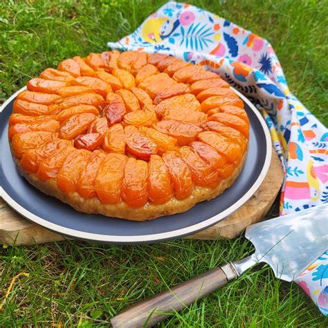 Tarte tatin à labricot Les Casseroles de Carole