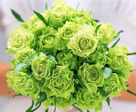 Bộ Sưu Tập Hình Ảnh Hoa Hồng Đẹp Nhất Với Hơn 999 Hình Ảnh Full 4K Cực Chất