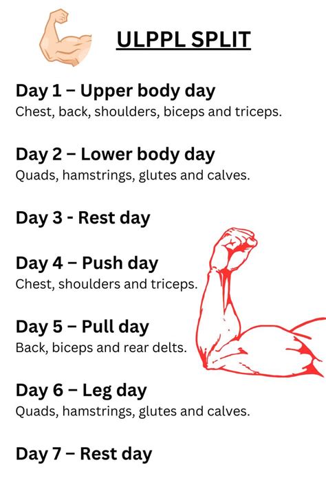 Day Ulppl Split Upper Lower Push Pull Legs Gym Geek Workout