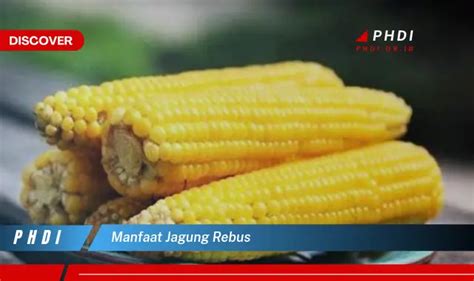 Temukan Manfaat Jagung Rebus Yang Bikin Kamu Penasaran