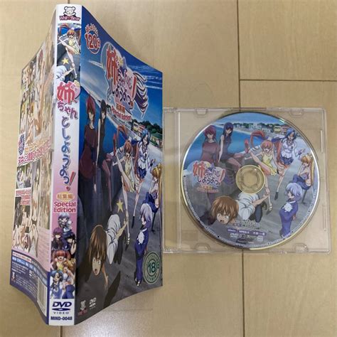 Yahoo オークション レンタル落ち アダルトアニメ 姉ちゃんとしよう