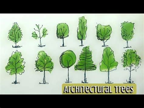 How To Draw Trees Using Markers Tips New Howtodrawtree