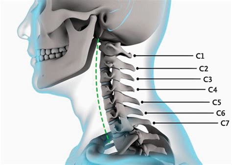 Clinical Examination Of The Cervical Spine New England Journal Of