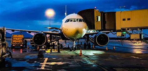 físico Situación surf transporte aereo para exportacion Influyente