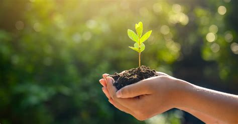 7 hábitos para tener una vida más sustentable en 2021 Architectural
