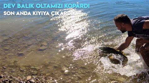 BALIK AVI EL OLTASI İLE TROFE SAZAN AVI DEV BALIK OLTAYI KOPARDI