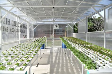 Inauguran el primer invernadero hidropónico con energía solar de la