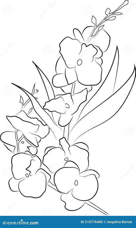 Página Para Colorear Con Orquídea Stock de ilustración Ilustración de