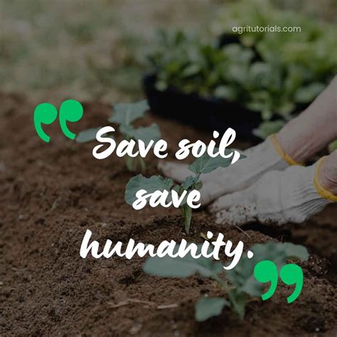 100 Powerful Slogans On Soil Conservation Transform The Earth AGRI