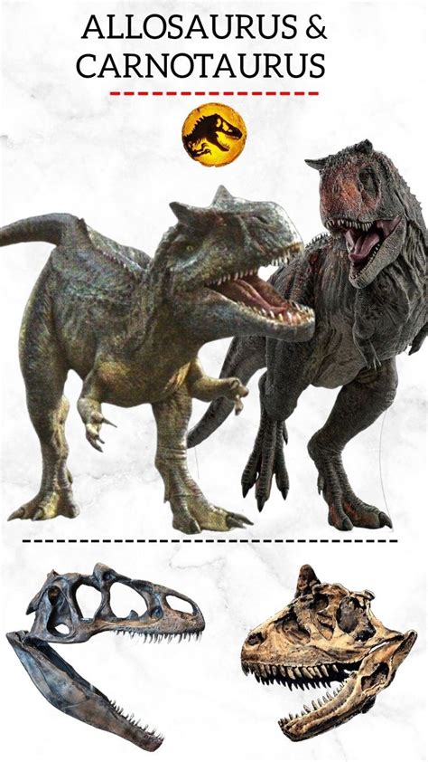 Allosaurus Carnotaurus Ilustra O De Dinossauro Fotos De