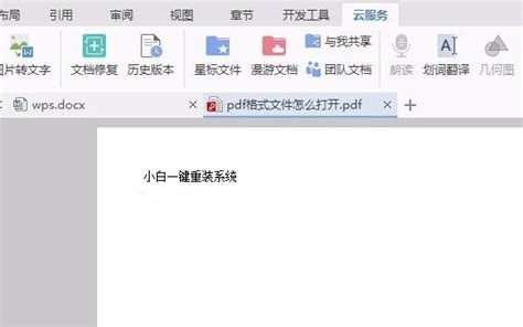 解决pdf文件怎么打开 电脑猪