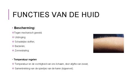 MEDISCHE KENNIS De Huid BOUW VAN DE HUID
