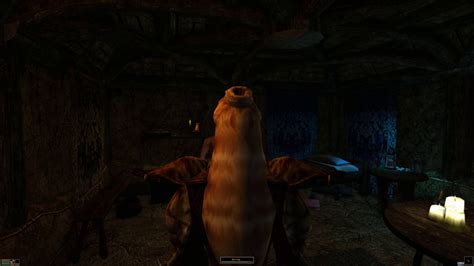 Let S Play Morrowind Ep 6 Clandestine Meeting With A Half Naked
