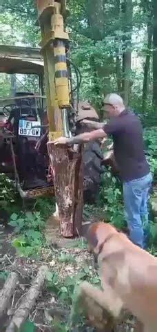 Bois De Chauffage Youtube