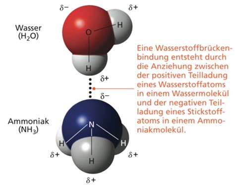 Chemie Zustandsformen Der Materie Karteikarten Quizlet