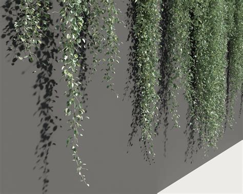 Растения дихондры GrowFX 3D Модель 29 blend max obj fbx c4d