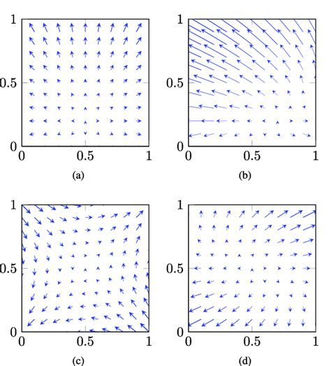 Collection Of Vector Fields Use To Represent Different Growth Patterns