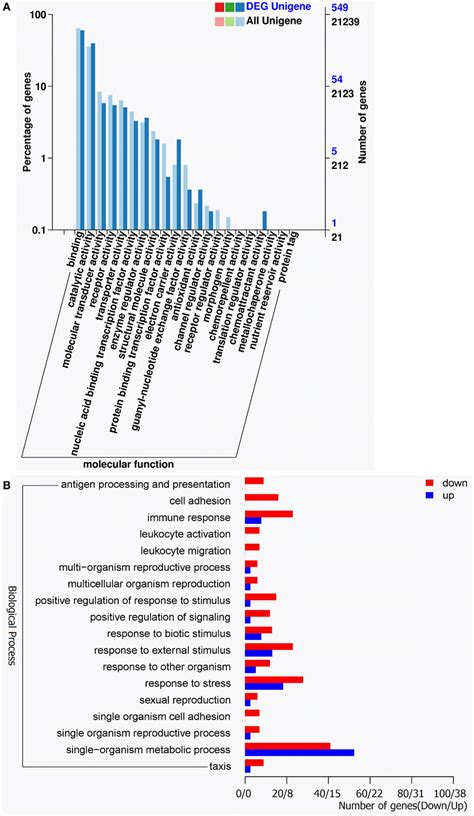 gene ontology go functional annotation a go functional download scientific diagram