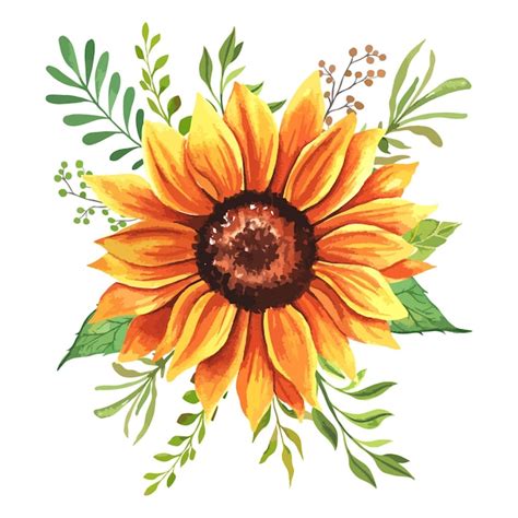 Girasoles de acuarela pintados a mano con hojas ilustración botánica