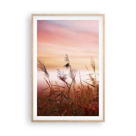 Obraz Plakat Latawce dmuchawce wiatr 61x91cm Krajobraz Łąka