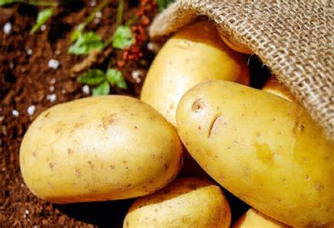Propiedades Curativas De Patata Usos Beneficios