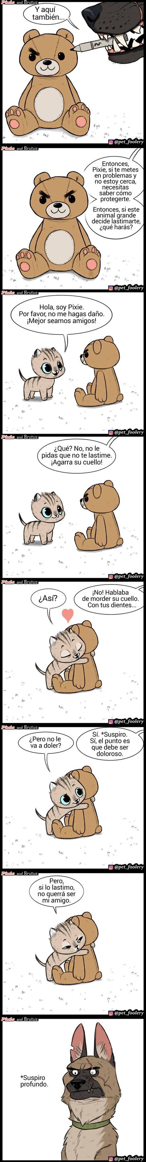 Que tierno Memes español graciosos Humor divertido sobre animales