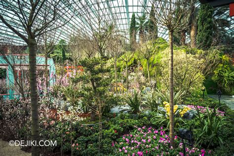 Sakura 2023 At Gardens By The Bay S Flower Dome Dejiki