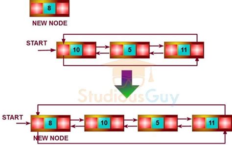 Circular Doubly Linked List In Data Structure StudiousGuy