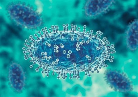 Maymun çiçeği Virüsü nedir nasıl bulaşır MPOX Türkiyede var mı