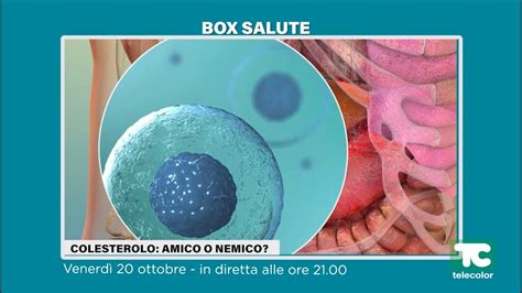 Promo Box Salute Colesterolo Amico O Nemico Youtube