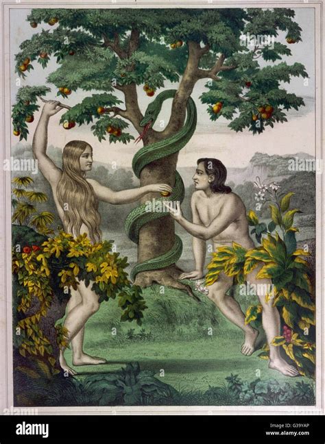Private Parts Hi Res Stock Photography And Images Alamy