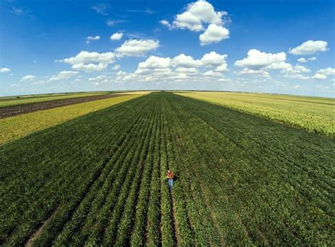 Novo Plano Safra reforça apoio a sistemas de produção ambientalmente