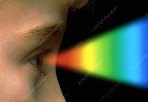 Colour Vision Spectrum Of Light Entering The Eye Stock Image P420
