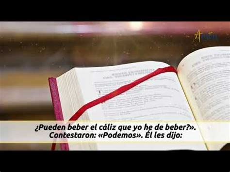 Evangelio Del Dia De Febrero De Youtube