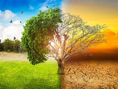 ECOLOGIE La Lutte Contre Le Changement Climatique Ecologie Blog Fr