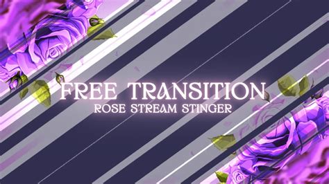 Free Rose Stream Transition Animated Free OBS Stinger Streamlabs